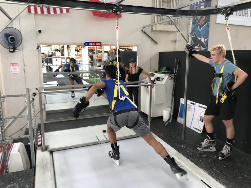 Synthetic Treadmill – The Pond Ice Rink & Sports Complex